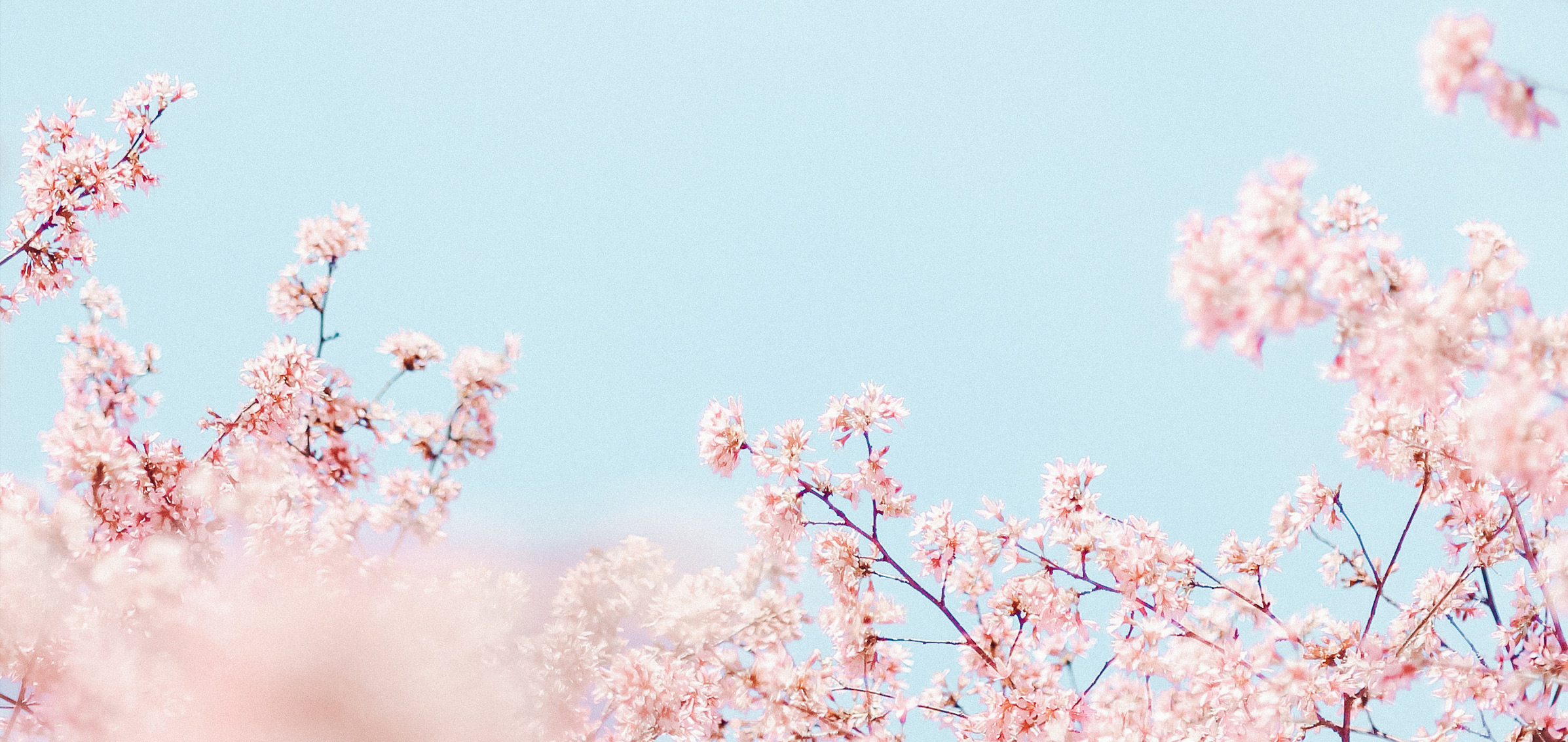 6 Tips To Photograph Spring